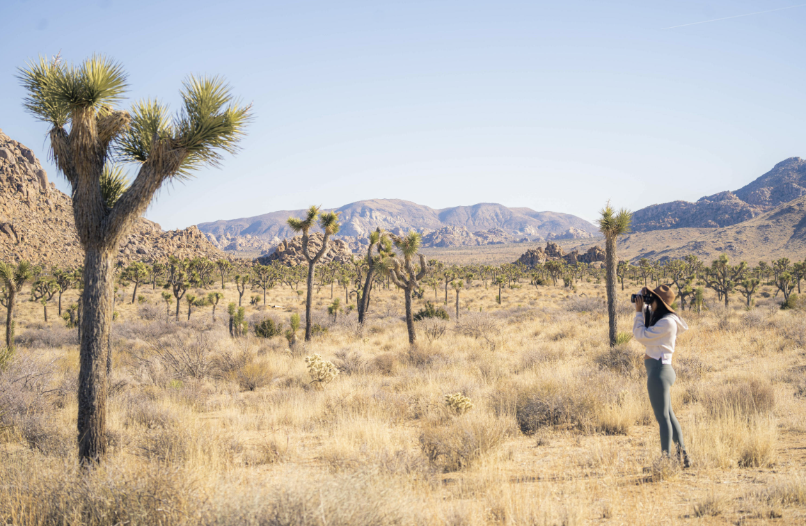 Joshua Tree Weekend Itinerary - California Travel Escapes